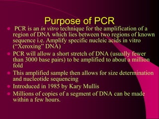 Polymerase Chain Reaction (PCR) | PPT