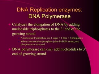 Polymerase Chain Reaction (PCR) | PPT