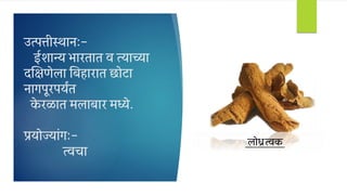 Lodhra - Symplocos racemosa | PDF