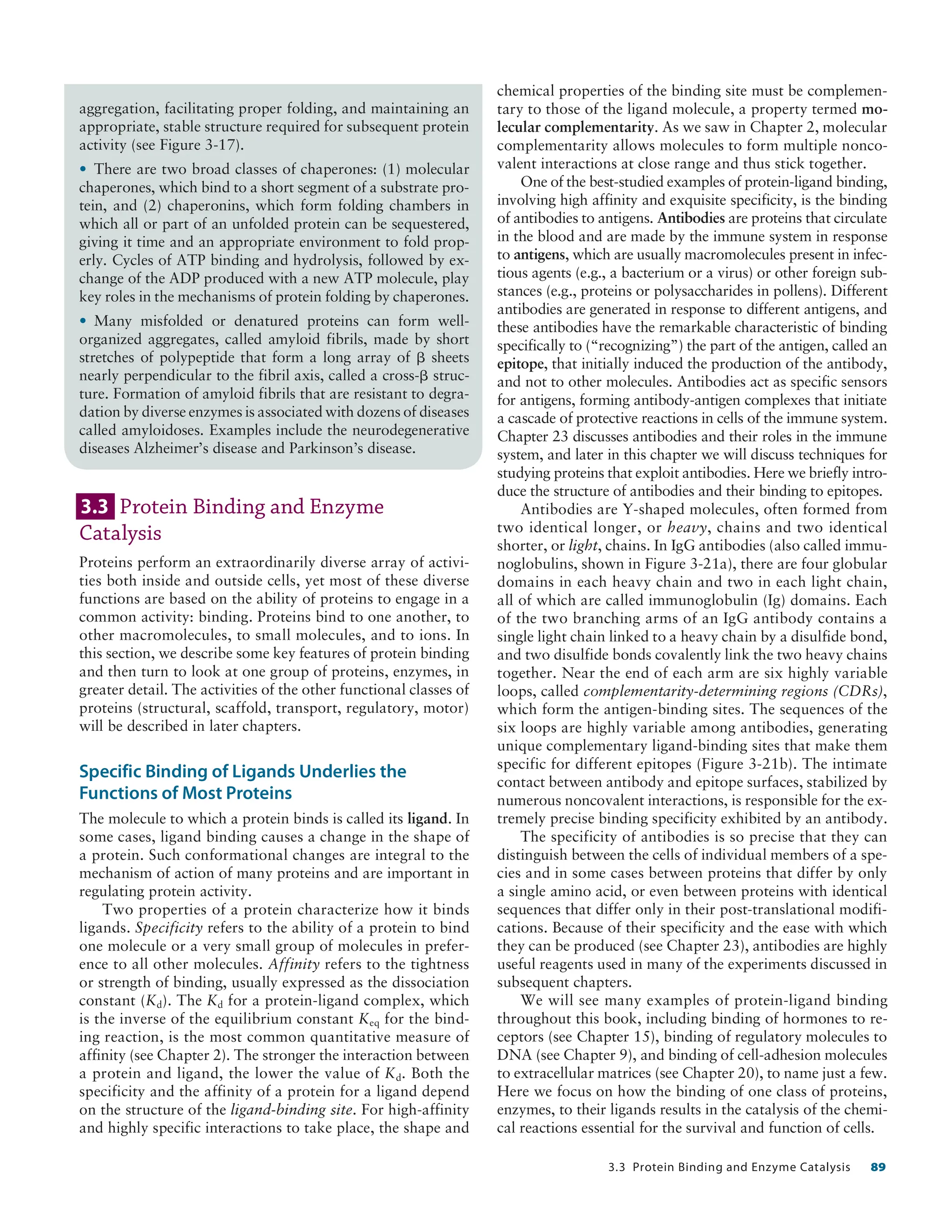 Detailed Summary of Protein Binding and Enzyme Catalysis | PDF