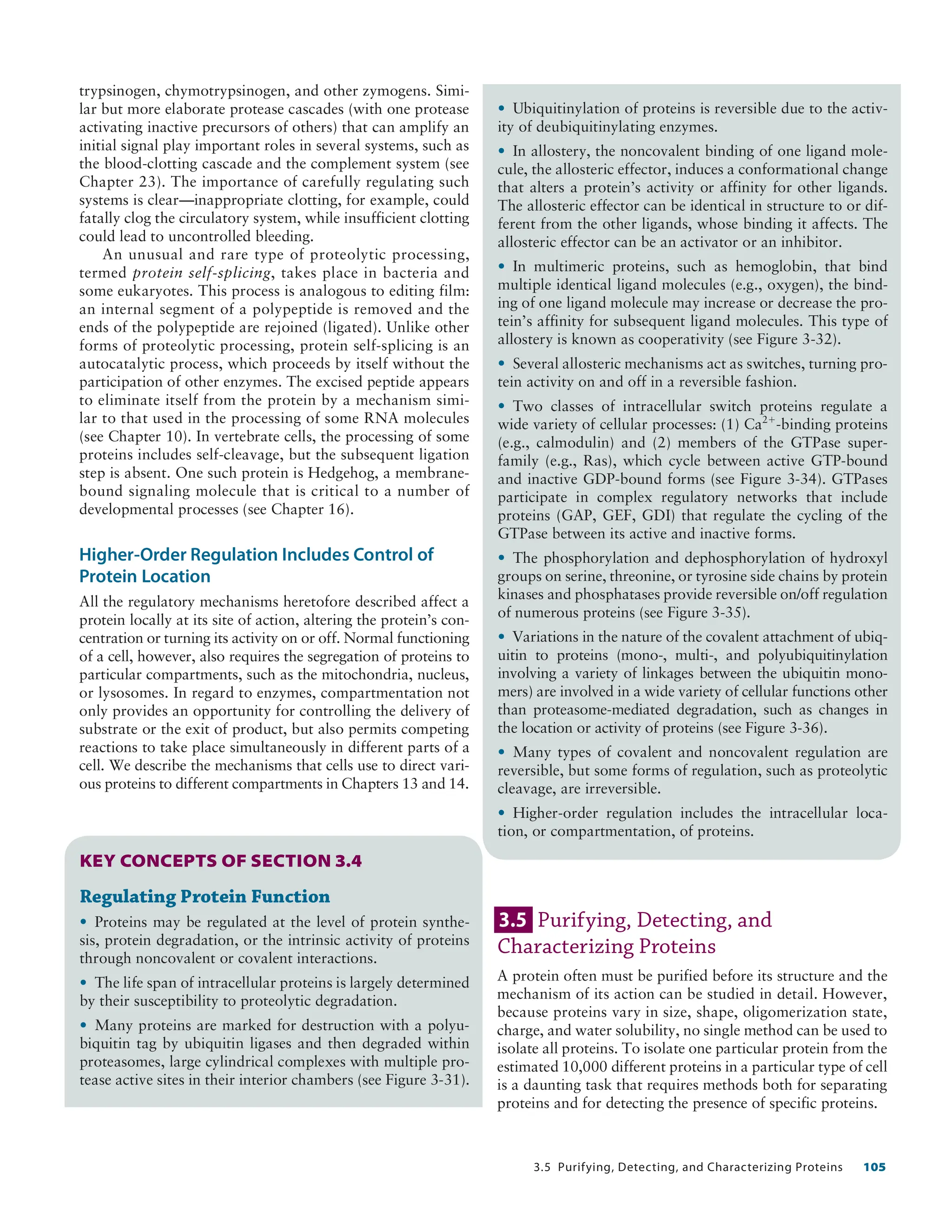Detailed Summary of Protein Binding and Enzyme Catalysis | PDF