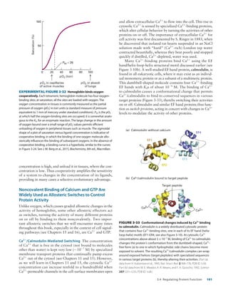 Detailed Summary of Protein Binding and Enzyme Catalysis | PDF