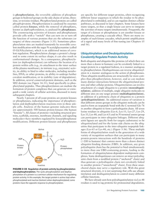 Detailed Summary of Protein Binding and Enzyme Catalysis | PDF