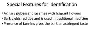 LODRA an ayurvedic medicinal plnat with its medicinal uses. | PPTX