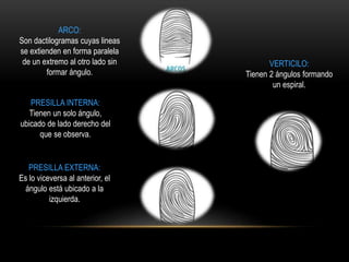 Lofoscopía y documentación forense | PPTX