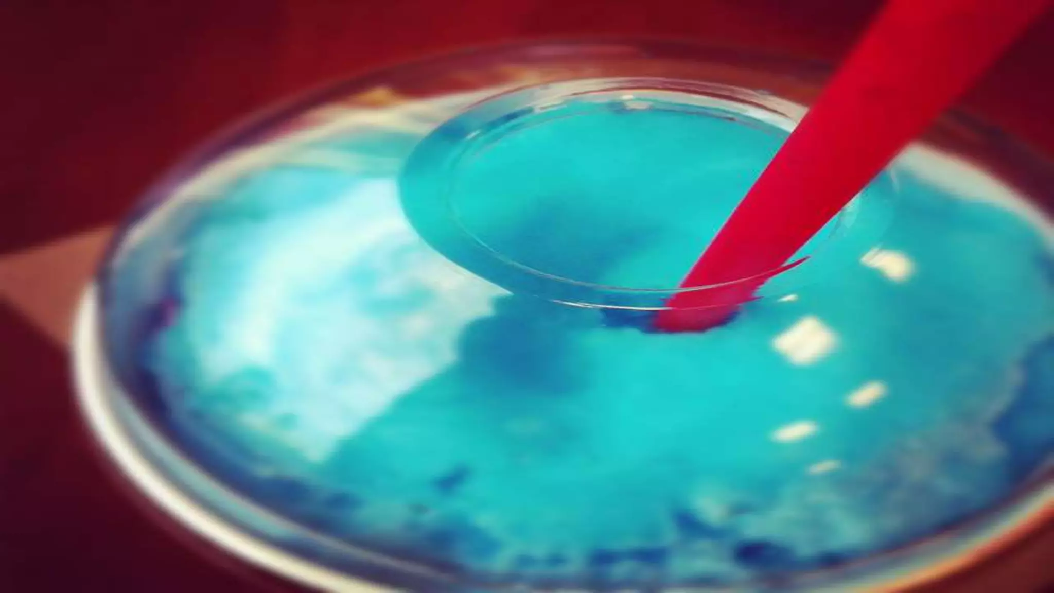 Logan thomson presentation | PPTX