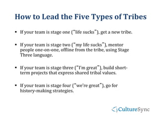 Tribal Leadership with Dave Logan | PDF