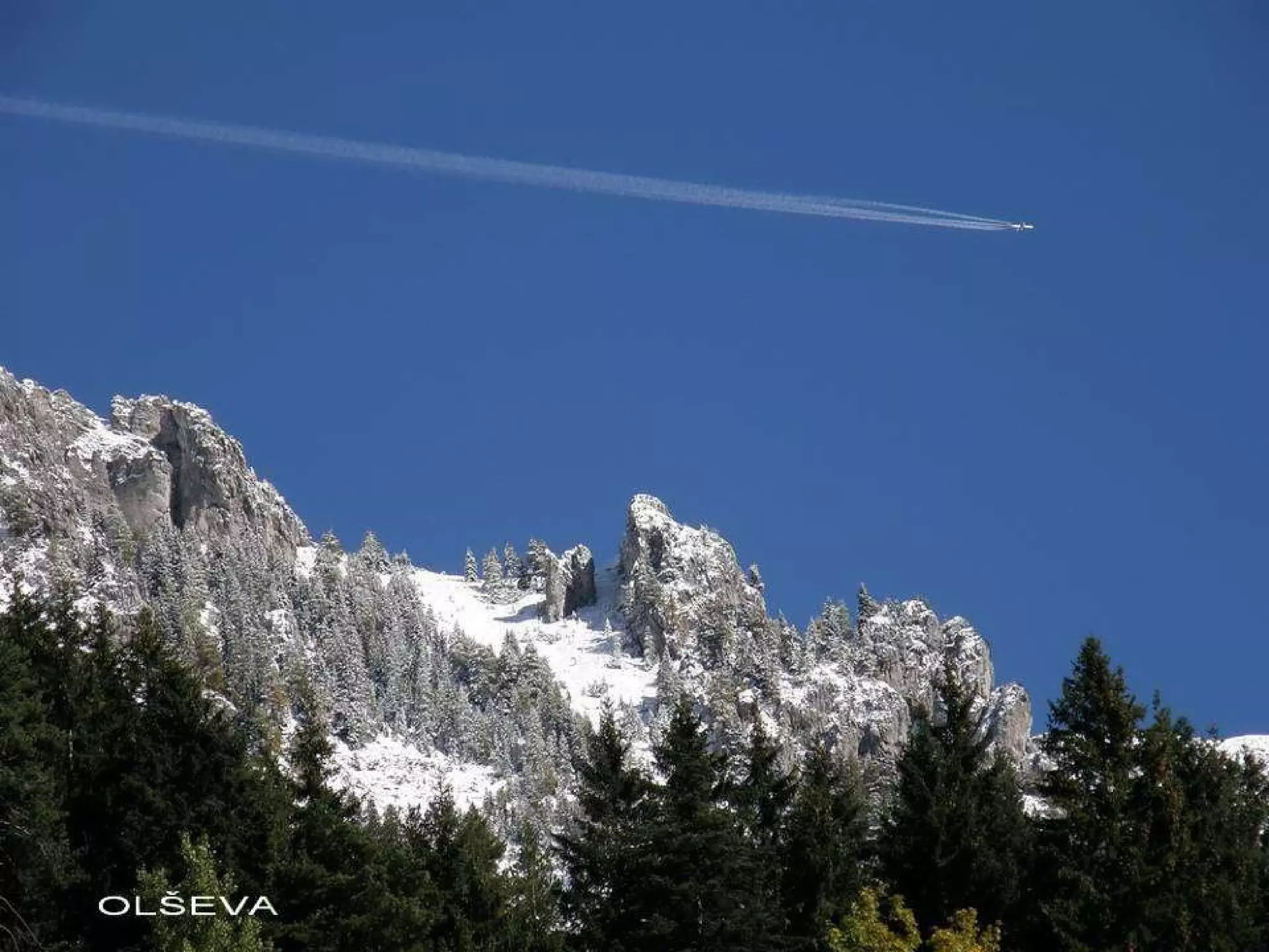 Logarska dolina | PPS