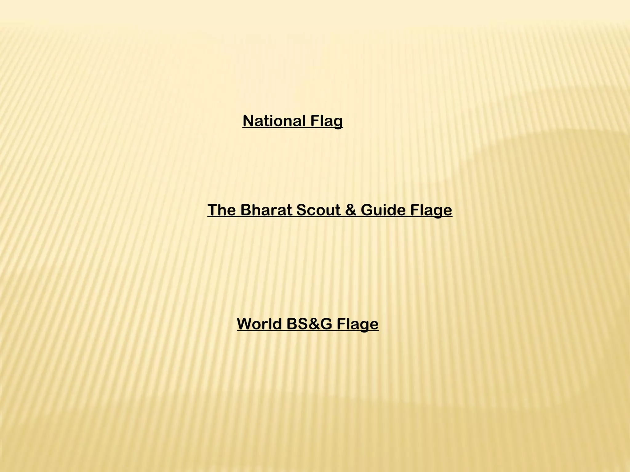 Scout and Guide Logbook | PPT