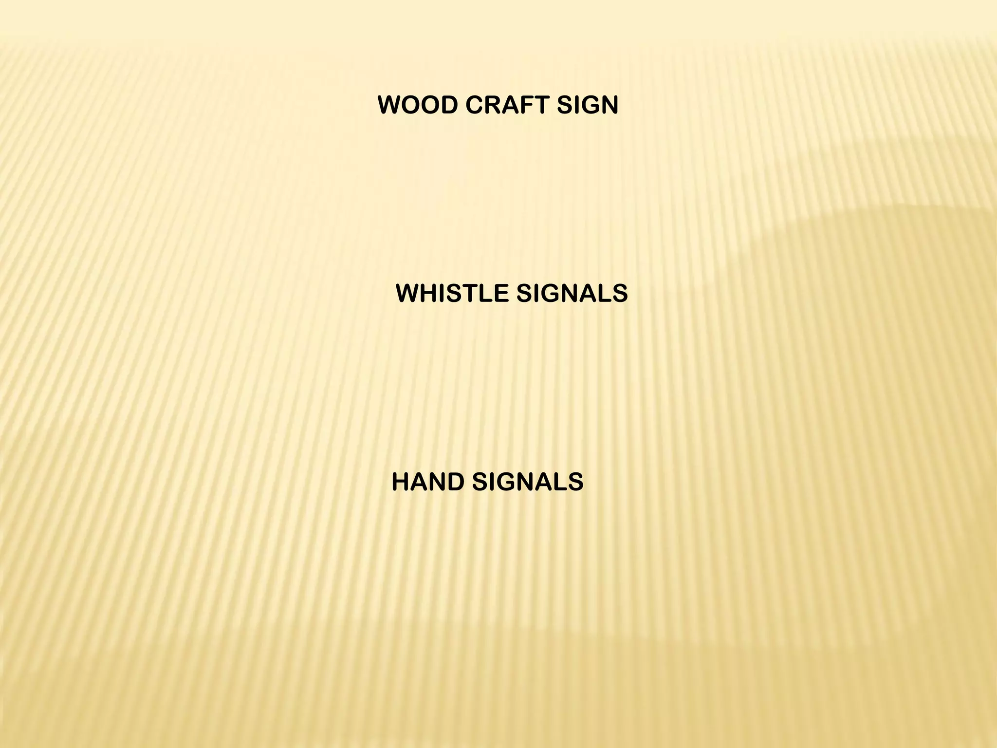 Scout and Guide Logbook | PPT