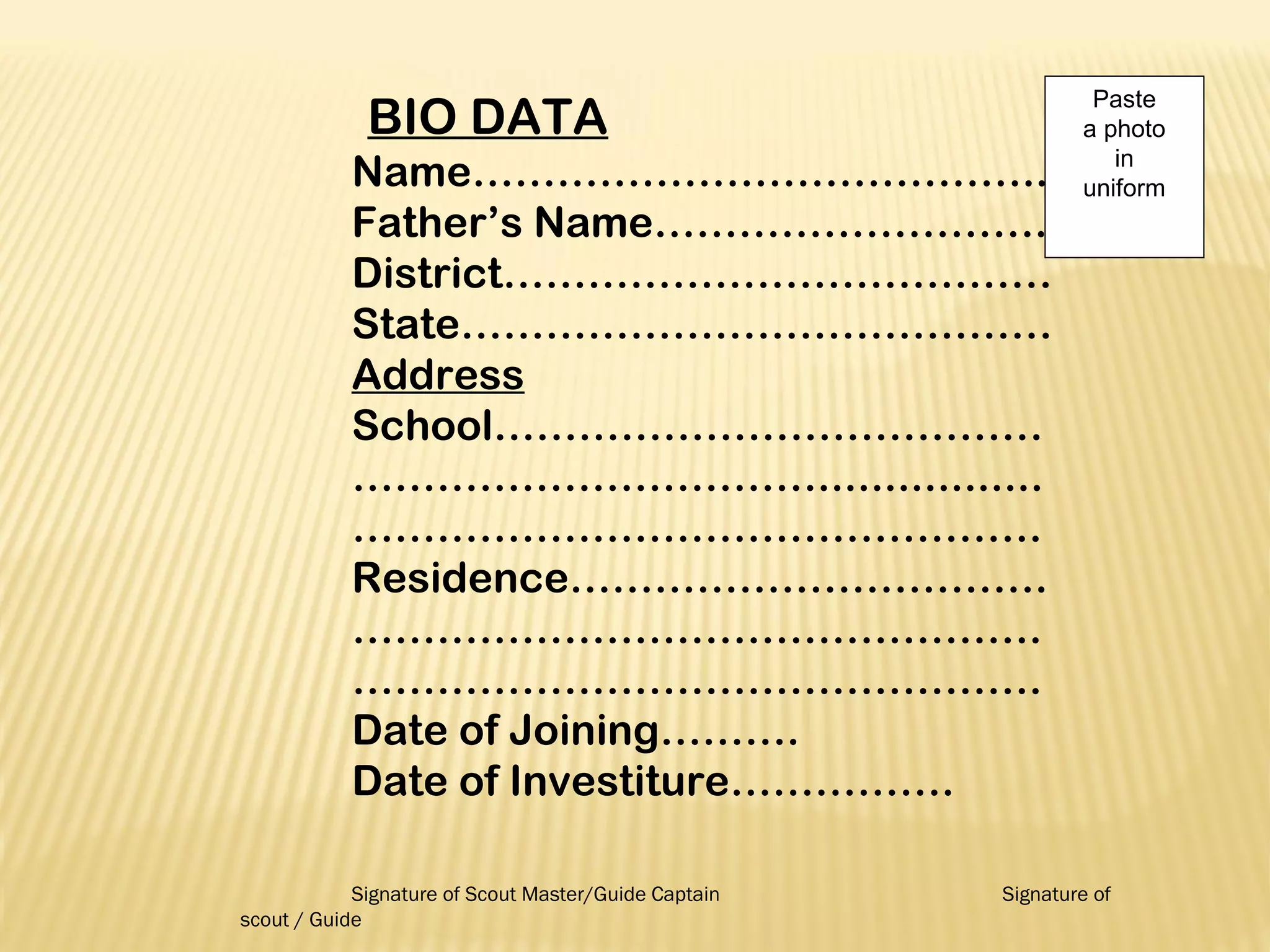 Scout and Guide Logbook | PPT