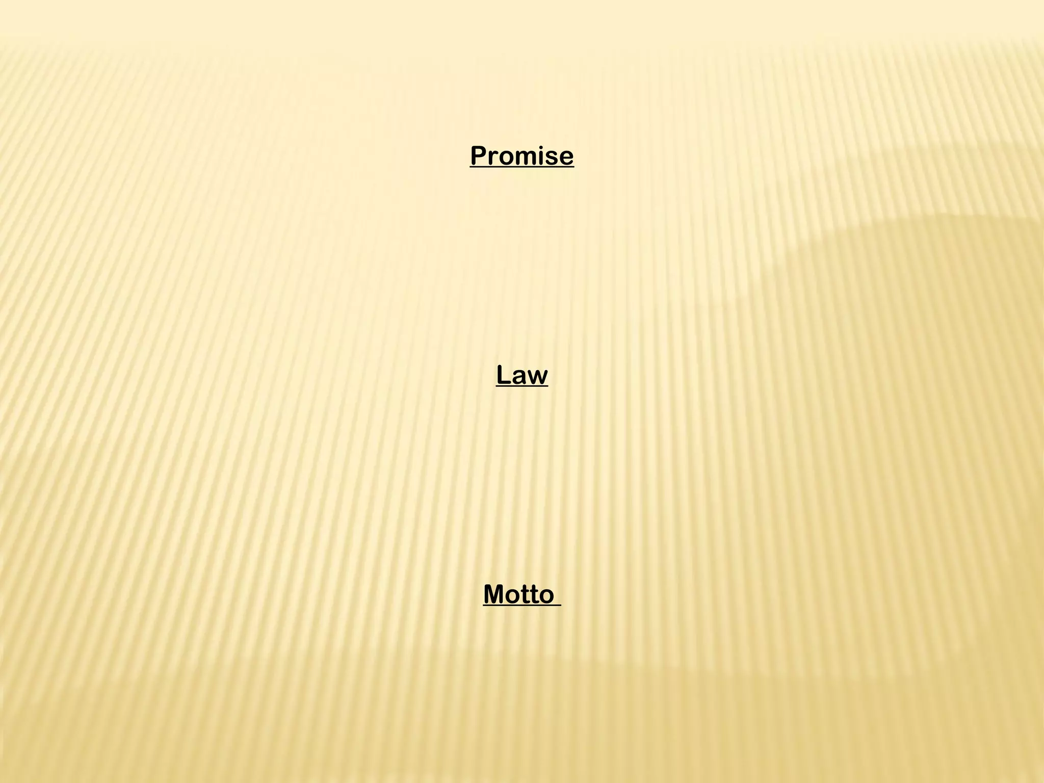 Scout and Guide Logbook | PPT