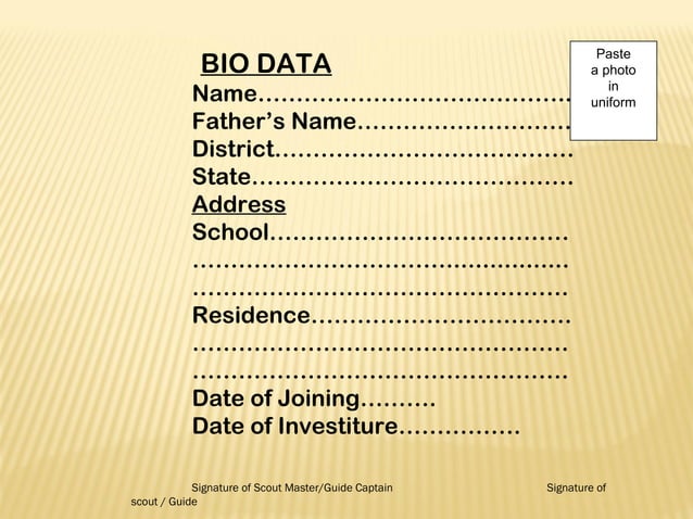 Scout and Guide Logbook | PPT