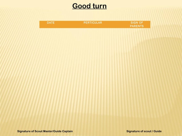 Scout and Guide Logbook | PPT
