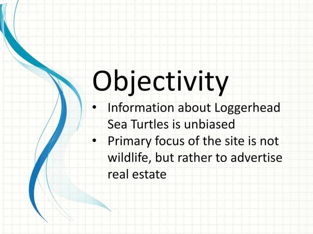 Loggerhead presentation | PPT