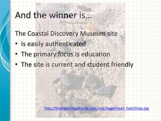 Loggerhead presentation | PPT