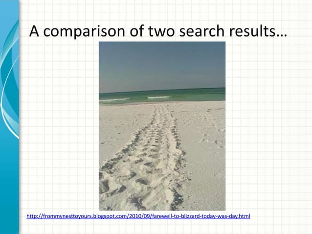 Loggerhead presentation | PPT