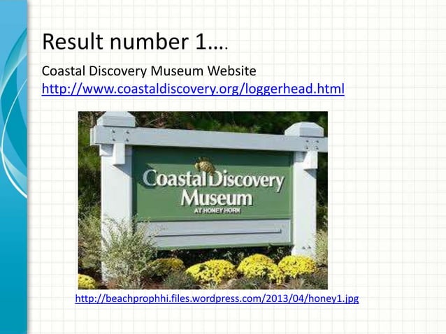 Loggerhead presentation | PPT