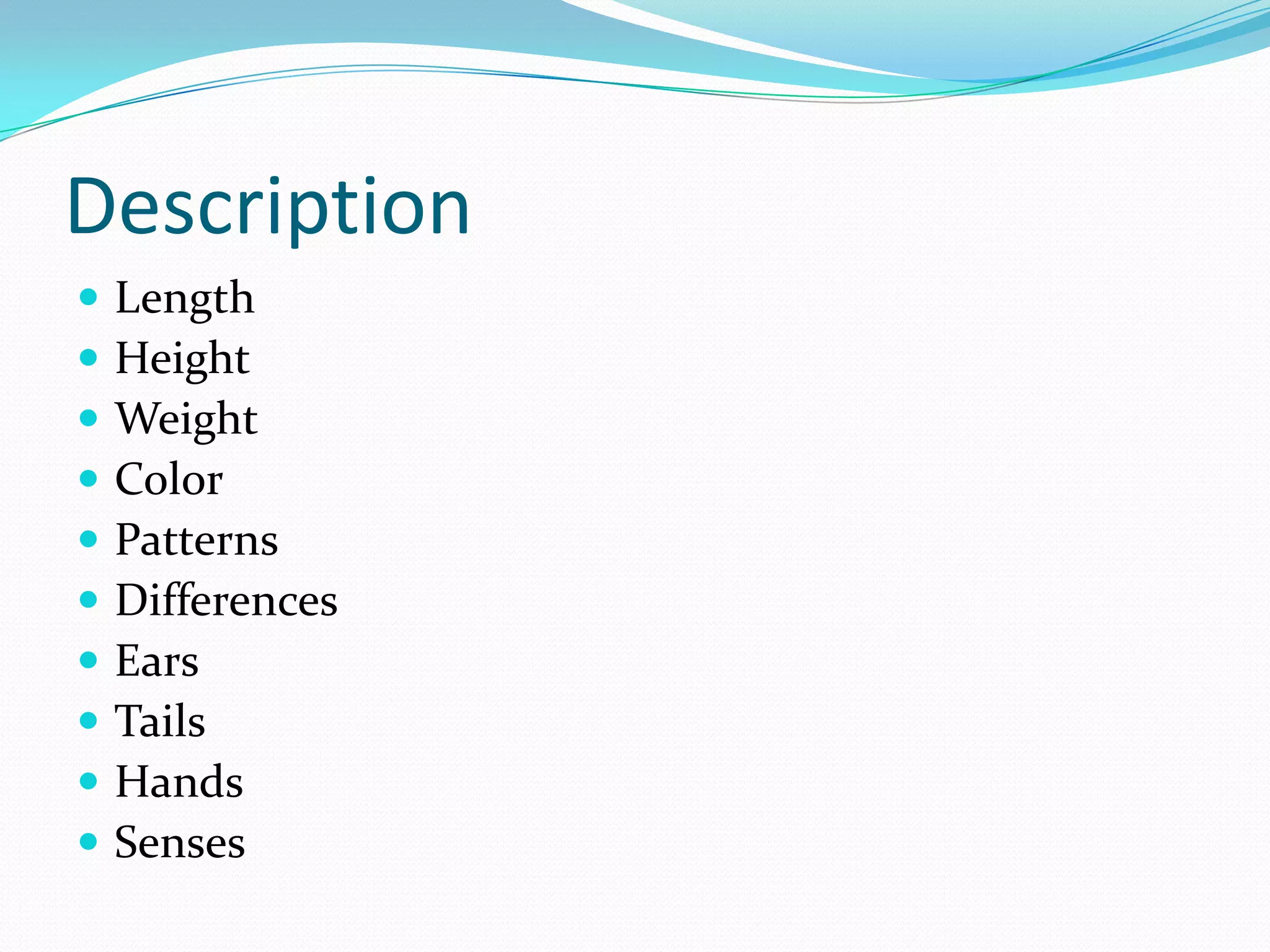 Loggerhead Sea Turtle | PPTX