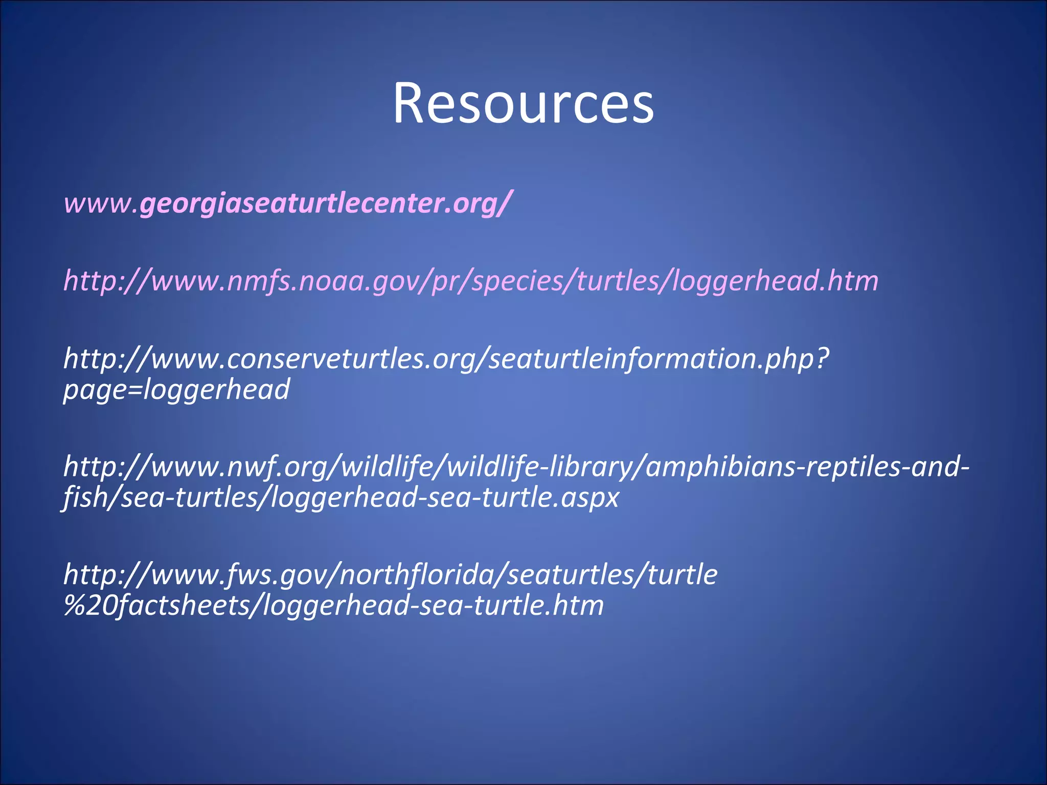 Loggerhead sea turtle jadyn | PPT