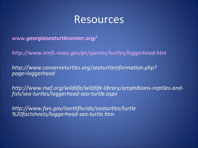 Loggerhead sea turtle jadyn | PPT