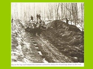 Logging in minnesota | PPT