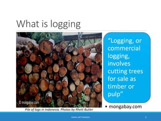 Logging with log4j v1.2 | PPTX | Programming Languages | Computing