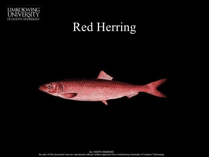 Red herring logical fallacy definition - polizsecond