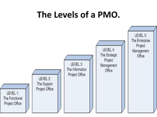 Integrated roadmap for Developing PMO with CMMi Prospective | PPTX | IT ...