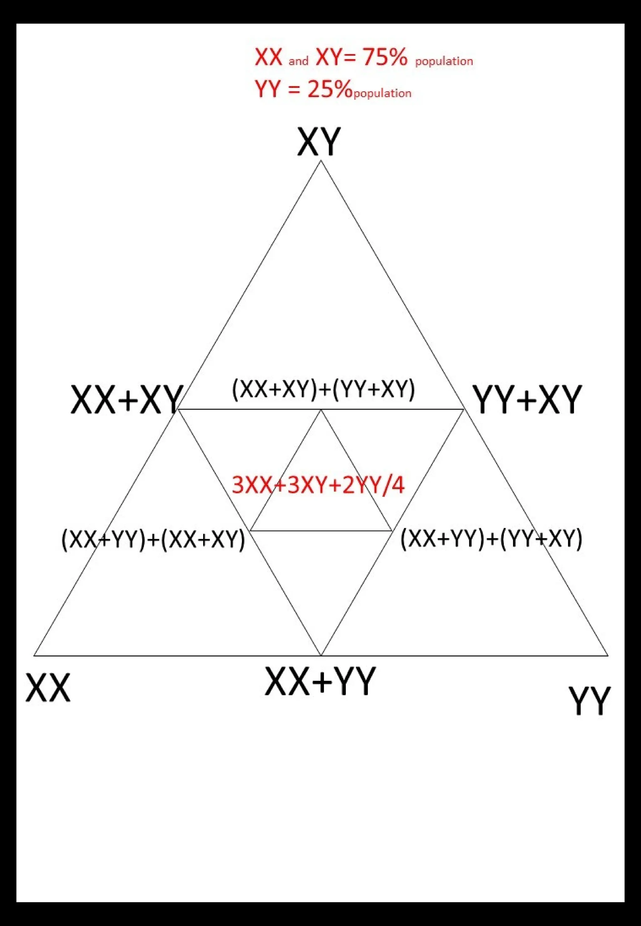 Logic Of Being Logic Of Cognition Syllogism And Syllogistic Syllogistic Intellectus Cognitum