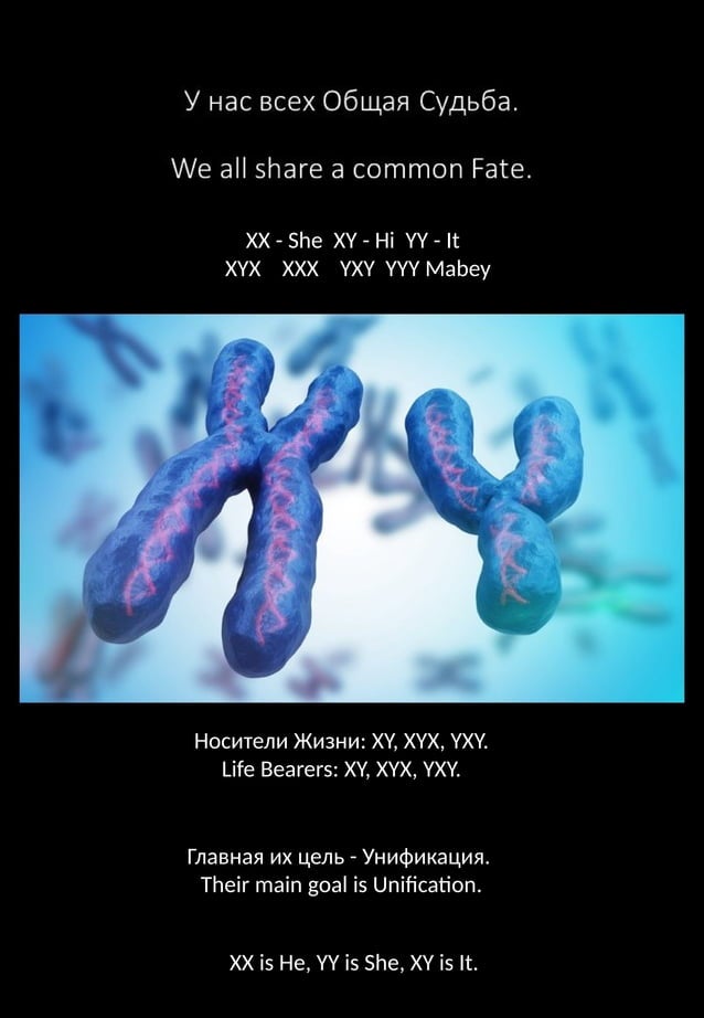 Logic Of Being Logic Of Cognition Syllogism And Syllogistic Syllogistic Intellectus Cognitum