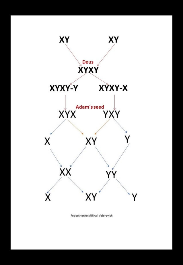 Logic of Being. Logic of cognition. Syllogism and Syllogistic ...
