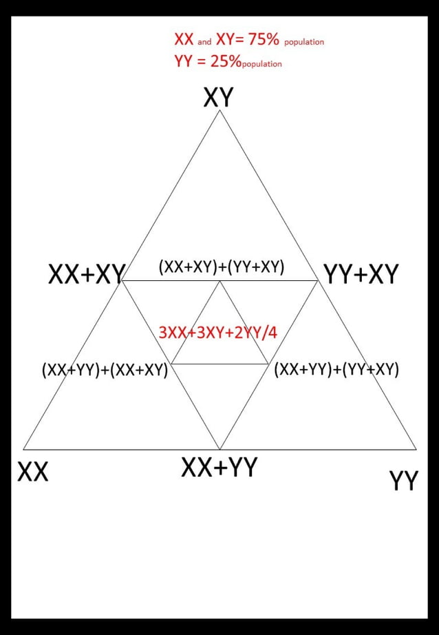 Logic of Being. Logic of cognition. Syllogism and Syllogistic ...