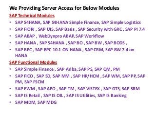 SAP S4HANA REMOTE ACCESS | SAP S4HANA ACCESS