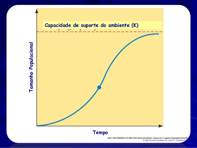 crescimento Logistico