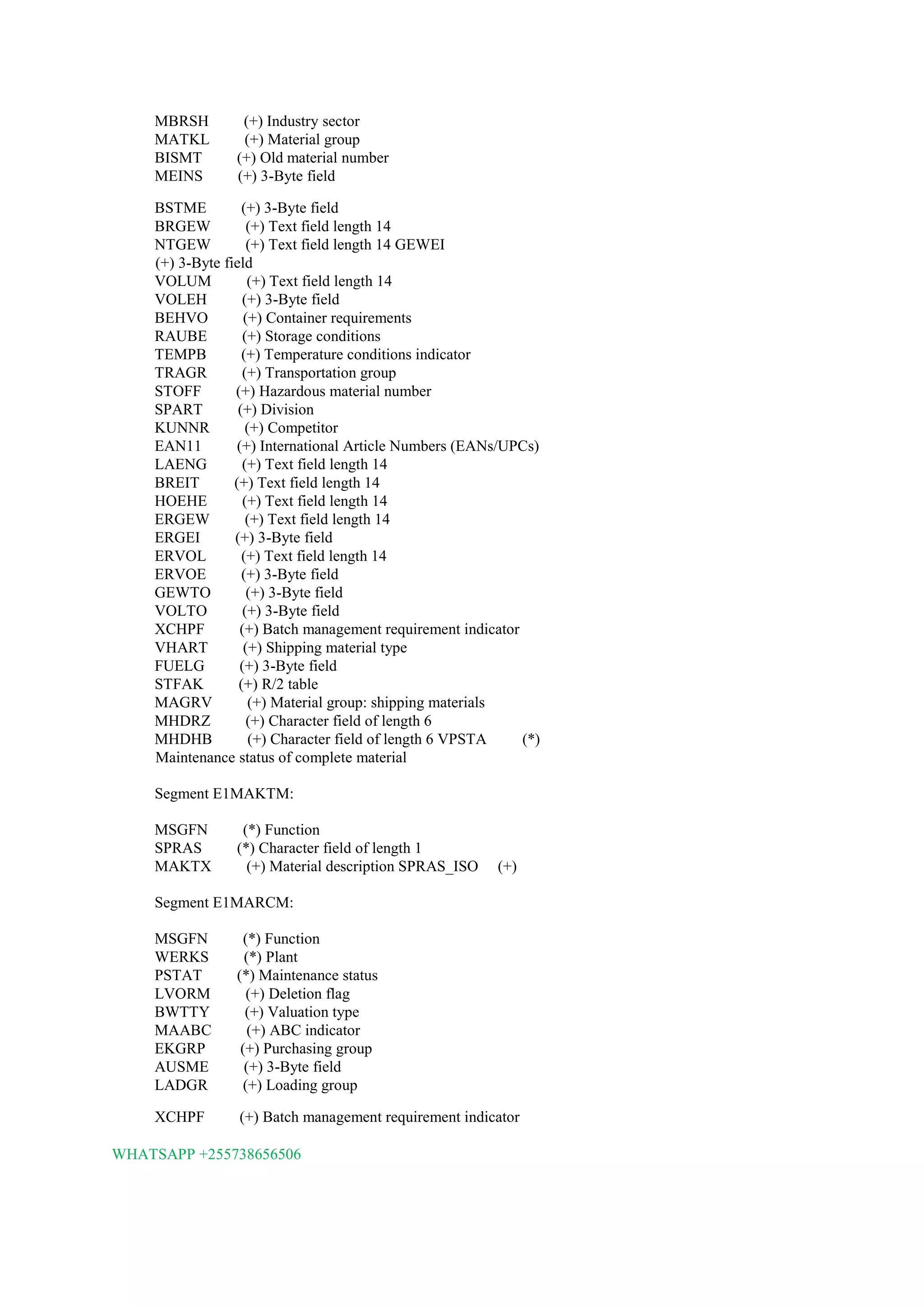 Logistics Execution.pdf