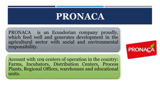 PRONACA Warehousing tutorial | PPTX