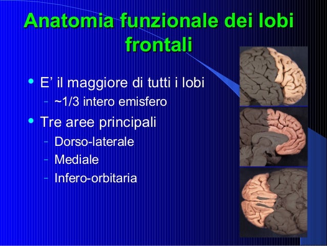 Logo lezione 05102007 h 1400