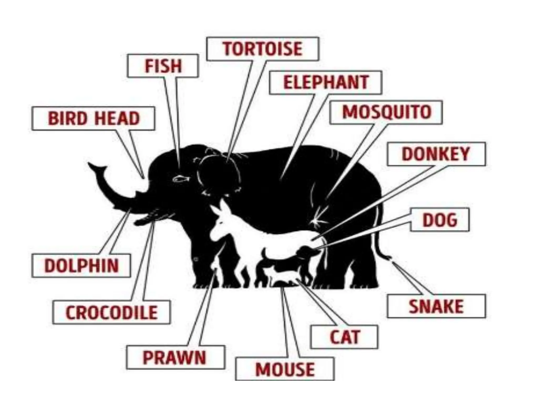 LOGO Identification for a Company & others | PPT