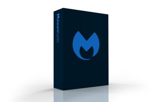 Malwarebytes Icon