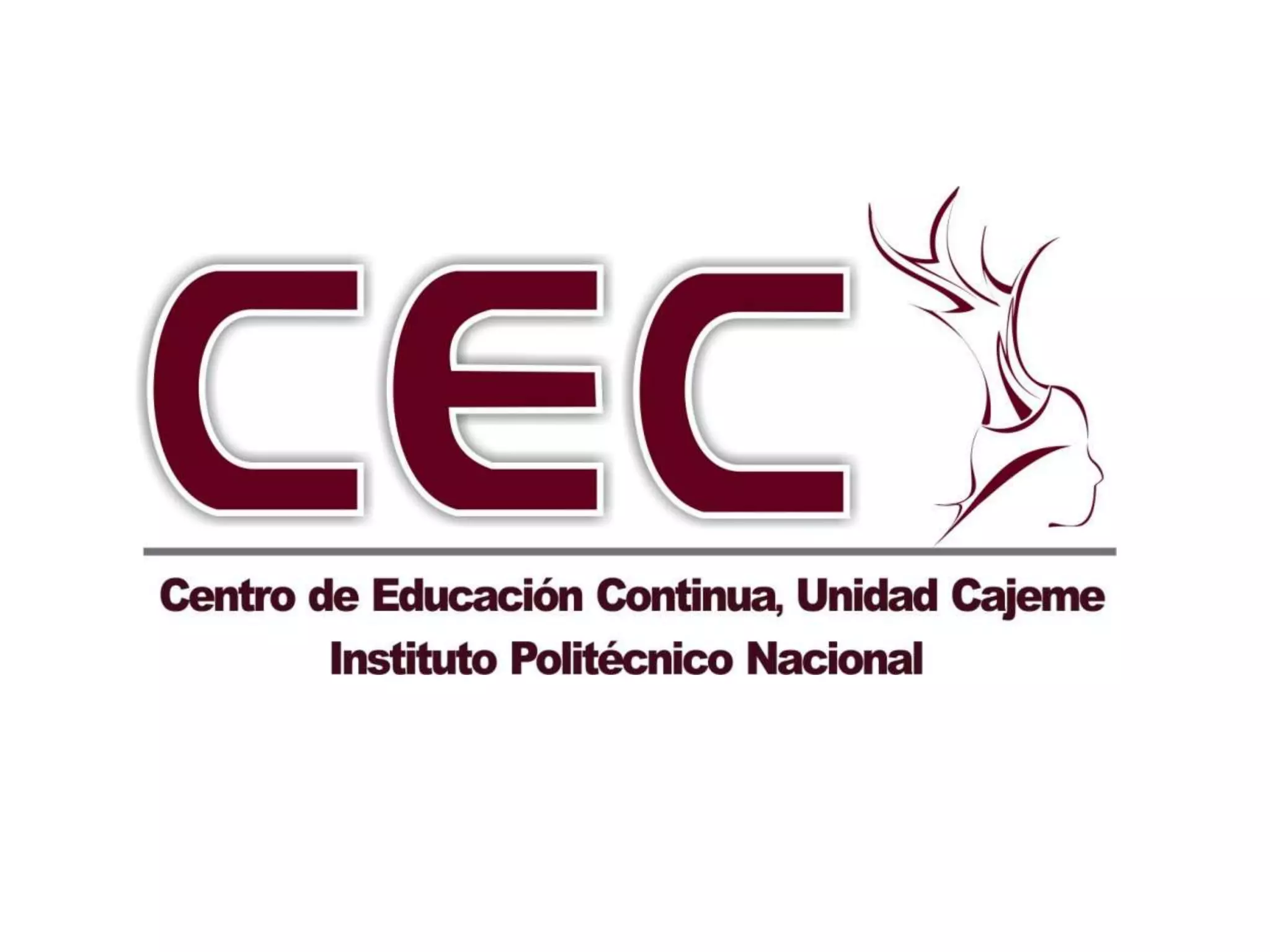 Logos ipn | PPTX | Advertising Industry | Industries