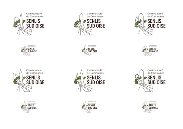 Logotype ccso 1 | PDF