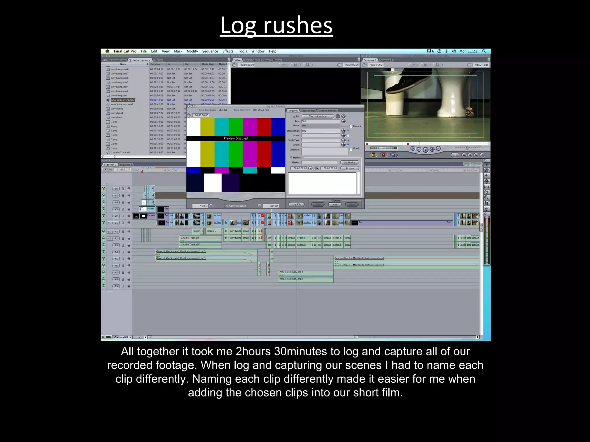 Log rushes | PPT