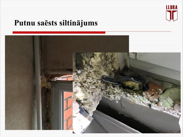 Logu izvēle un montāža. Ieteikumi | PPT