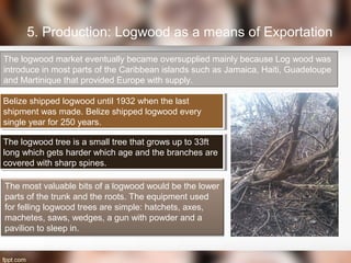 Logwood Economy in Belize | PPT