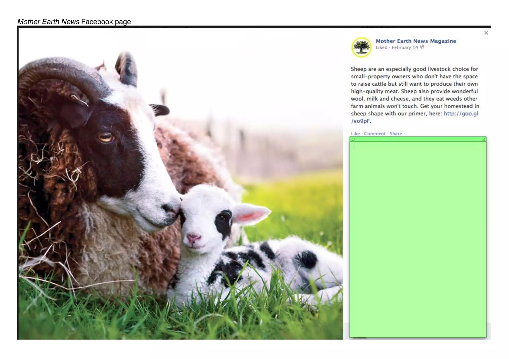 What is “LOHAS”? | PDF