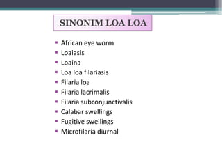 Loaiasis | PPTX