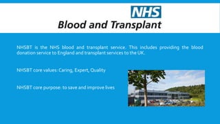 Lois Glazier Placement Presentation (1).pptx