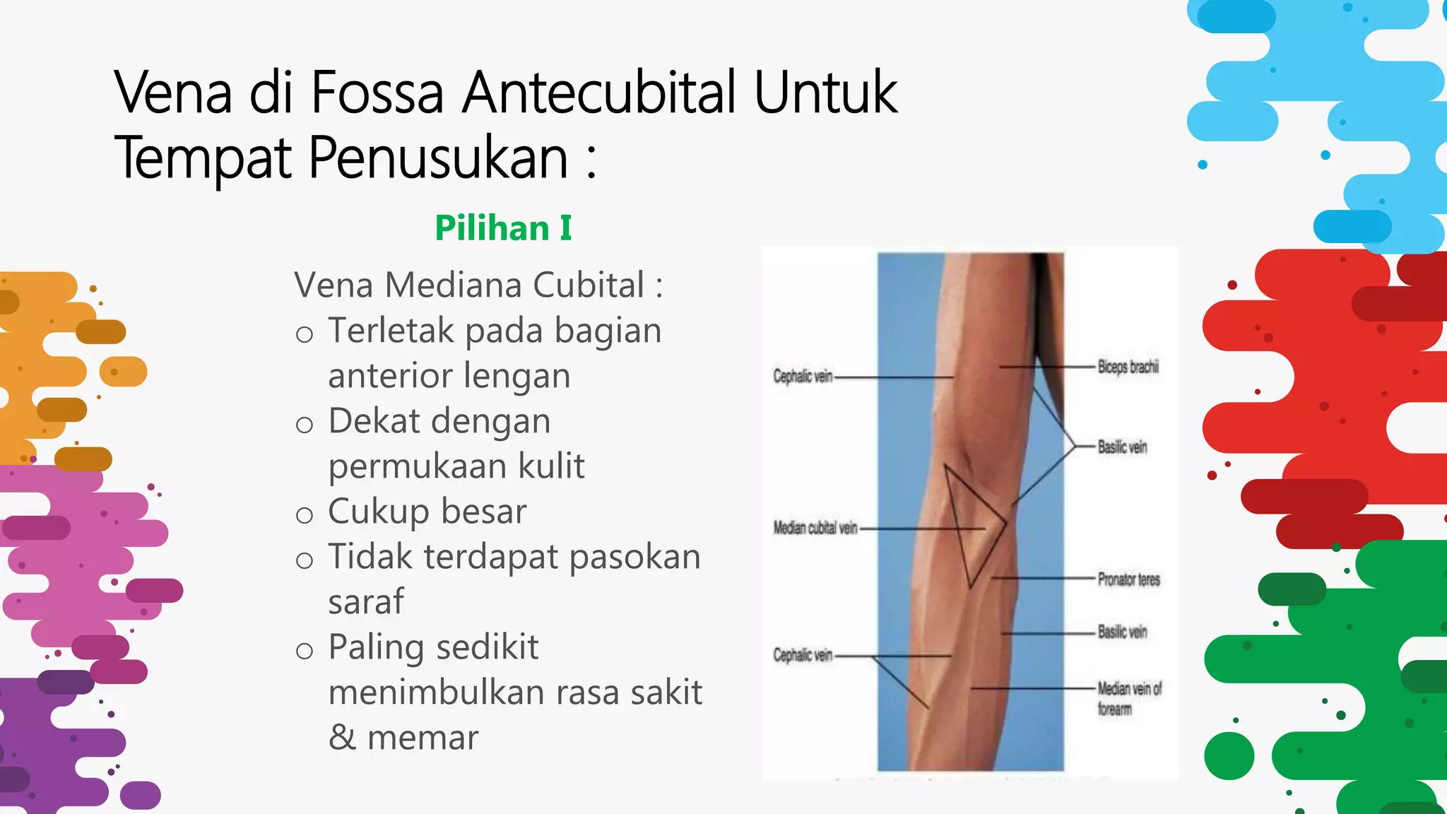 Lokasi pengambilan sampel darah | PPTX