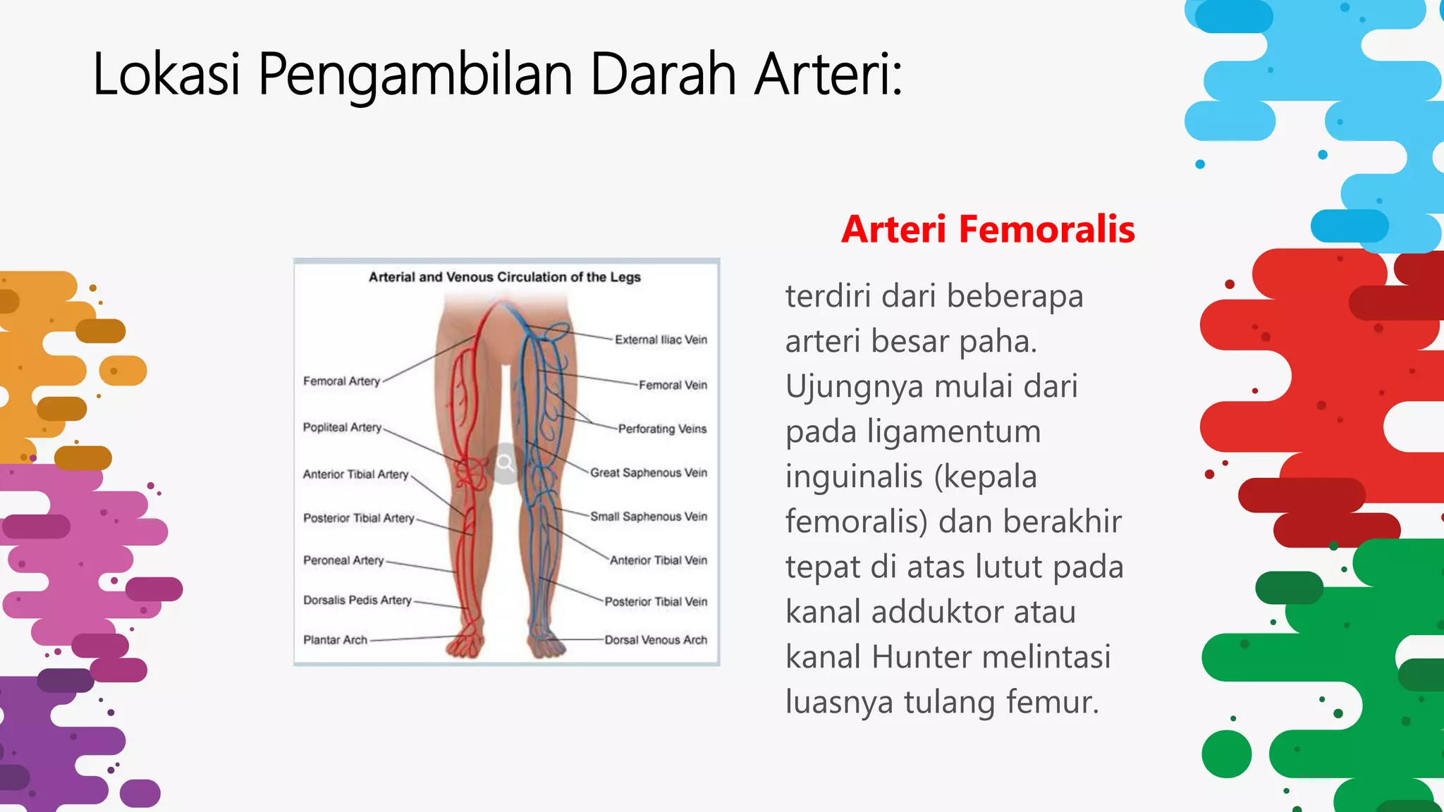 Lokasi pengambilan sampel darah | PPTX